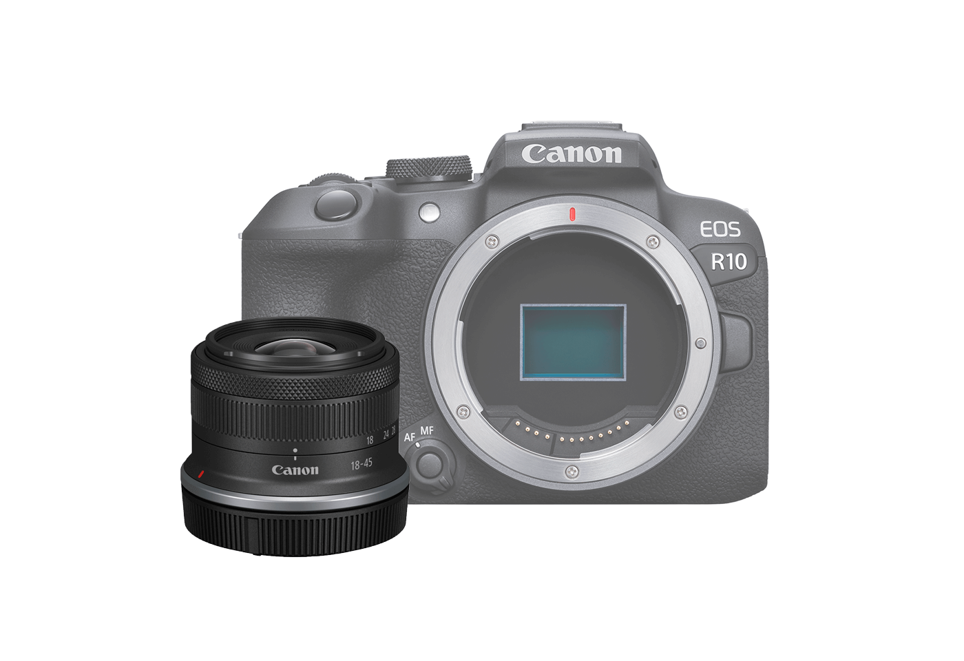 EOS R10 Firmware Update, Version 1.3.0 [Windows] | Canon Australia