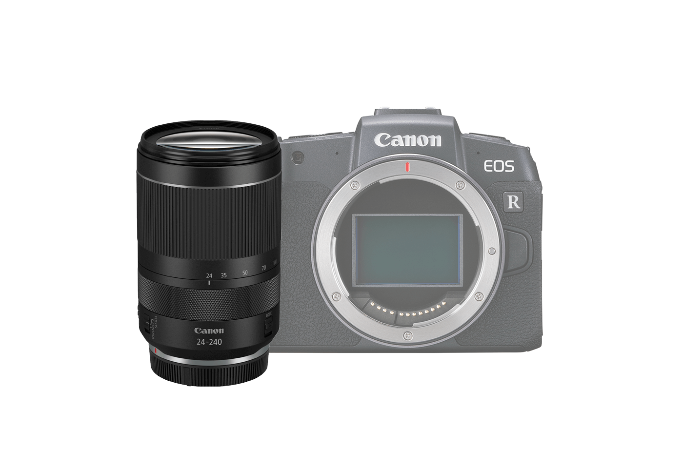EOS RP Specifications & Sample Images | Canon Australia