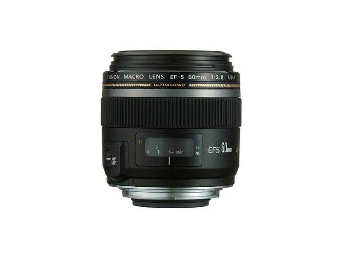 Macro Photography | Best Lenses, Cameras & Tips | Canon Australia