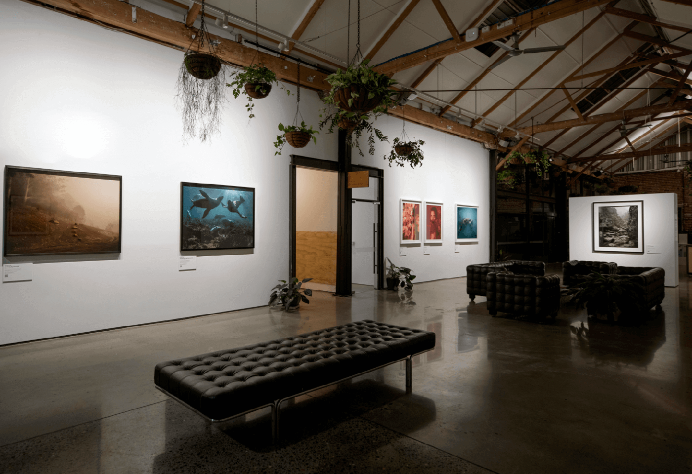 Professional Services for Photographers and Videographers | Canon Australia