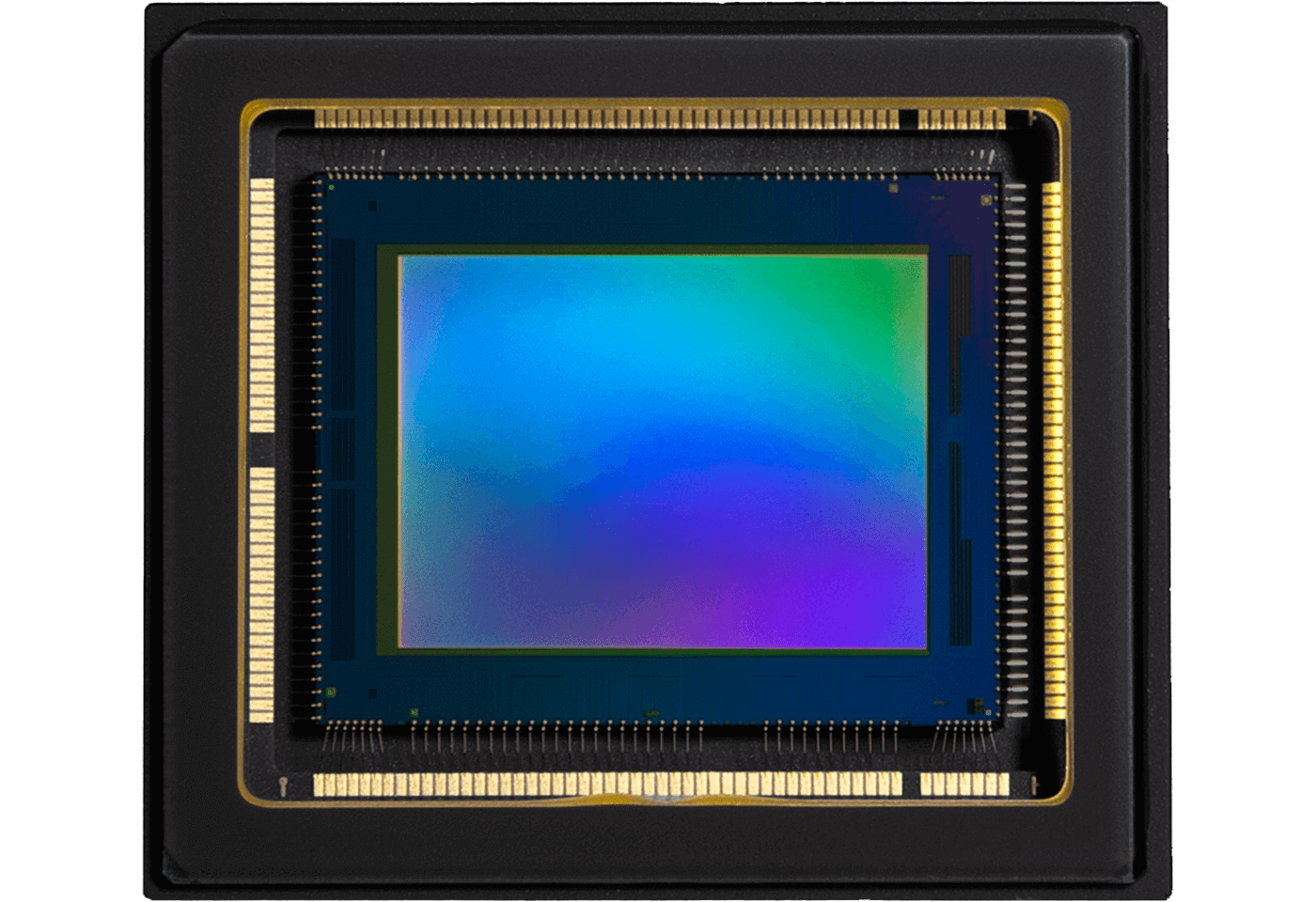 Canon XF705 PRO 4K Video Camera | Price Chat!