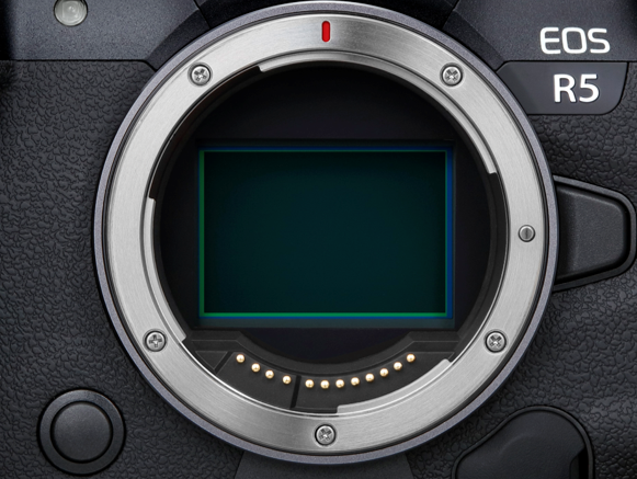 RF Lens Benefits And Why You Should Make The Switch | Canon Australia